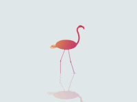 Flamingo GIFs - Get the best gif on GIFER