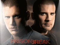 Burrowing GIFs - Get the best gif on GIFER