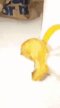 Perfecto GIFs - Get the best gif on GIFER