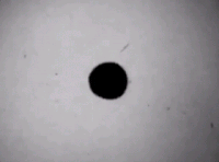 Fisica GIF - Conseguir el mejor gif en GIFER