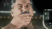 Stalin GIFs - Get the best gif on GIFER