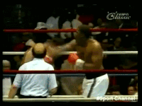 Knockout GIFs - Get the best gif on GIFER