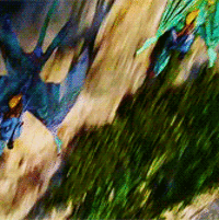 Myg GIFs - Get the best gif on GIFER