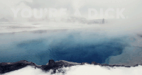 Antarctica GIFs - Get the best gif on GIFER