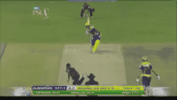 Psl GIFs - Get the best gif on GIFER