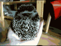 Moral GIFs - Get the best gif on GIFER