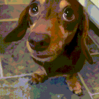 Brrrr GIF - Conseguir el mejor gif en GIFER