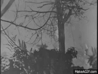 1925 GIFs - Get the best gif on GIFER