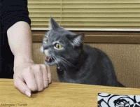 Trogdor GIFs - Get the best gif on GIFER