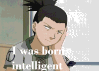 Tentative GIFs - Get the best gif on GIFER