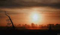 Countryside GIFs - Get the best gif on GIFER
