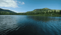 Lake GIFs - Get the best gif on GIFER