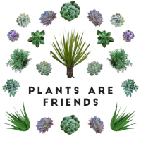 Succulent GIFs - Get the best gif on GIFER