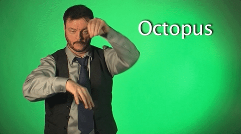 Swr GIFs - Get the best gif on GIFER