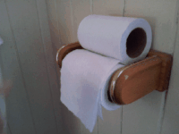 Tp GIFs - Get the best gif on GIFER