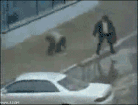 Manhole GIFs - Get the best gif on GIFER