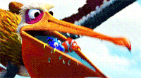 Pelicans GIFs - Get the best gif on GIFER