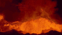 Yellowstone GIFs - Get the best gif on GIFER