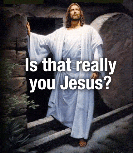 Il GIFs - Get the best gif on GIFER