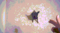 Point blank range GIF - Conseguir o melhor gif em GIFER