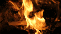 Wood GIFs - Get the best gif on GIFER