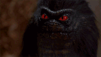 Cigarro GIF - Conseguir el mejor gif en GIFER