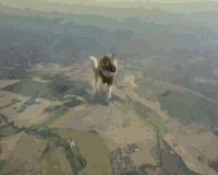 Parachute GIFs - Get the best gif on GIFER