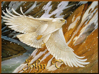 Adler GIFs - Get the best gif on GIFER