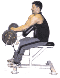 Bicep GIFs - Get the best gif on GIFER