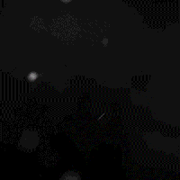 Colour GIFs - Get the best gif on GIFER