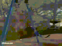 Noooooo GIFs - Get the best gif on GIFER