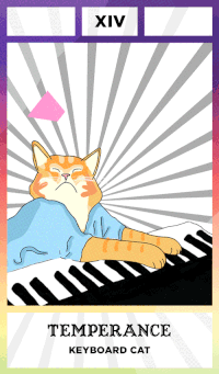 Fatso GIFs - Get the best gif on GIFER