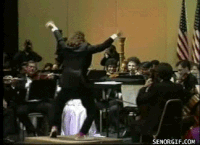 Conductor GIFs - Get the best gif on GIFER