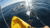 Fisherman GIFs - Get the best gif on GIFER