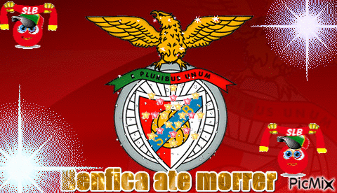Slb GIF - Conseguir o melhor gif em GIFER
