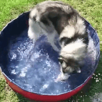 Heat GIFs - Get the best gif on GIFER