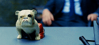 Skyfall GIFs - Get the best gif on GIFER