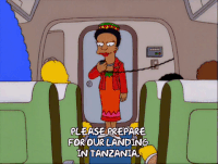 Flight attendants GIFs - Get the best gif on GIFER