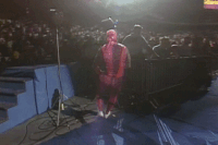 Ultimate GIFs - Get the best gif on GIFER