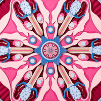 Reproduction GIFs - Get the best gif on GIFER