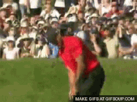 Examiner GIFs - Get the best gif on GIFER