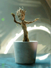 Groot GIFs - Get the best gif on GIFER