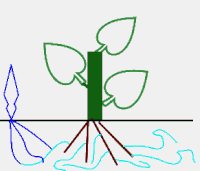 Botany GIFs - Get the best gif on GIFER