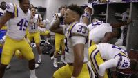 Lsu tigers GIFs - Get the best gif on GIFER