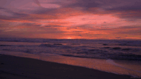 Beach GIFs - Get the best gif on GIFER