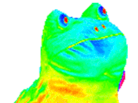 Meme GIF - Conseguir o melhor gif em GIFER