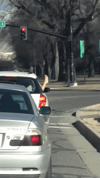 Feet GIFs - Get the best gif on GIFER