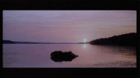 Precise GIFs - Get the best gif on GIFER