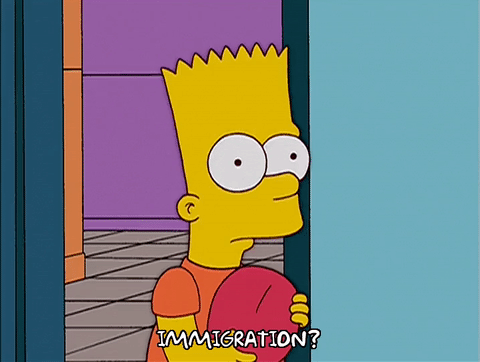Immigration activisit GIF - Conseguir o melhor gif em GIFER