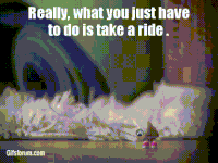 Shell GIFs - Get the best gif on GIFER